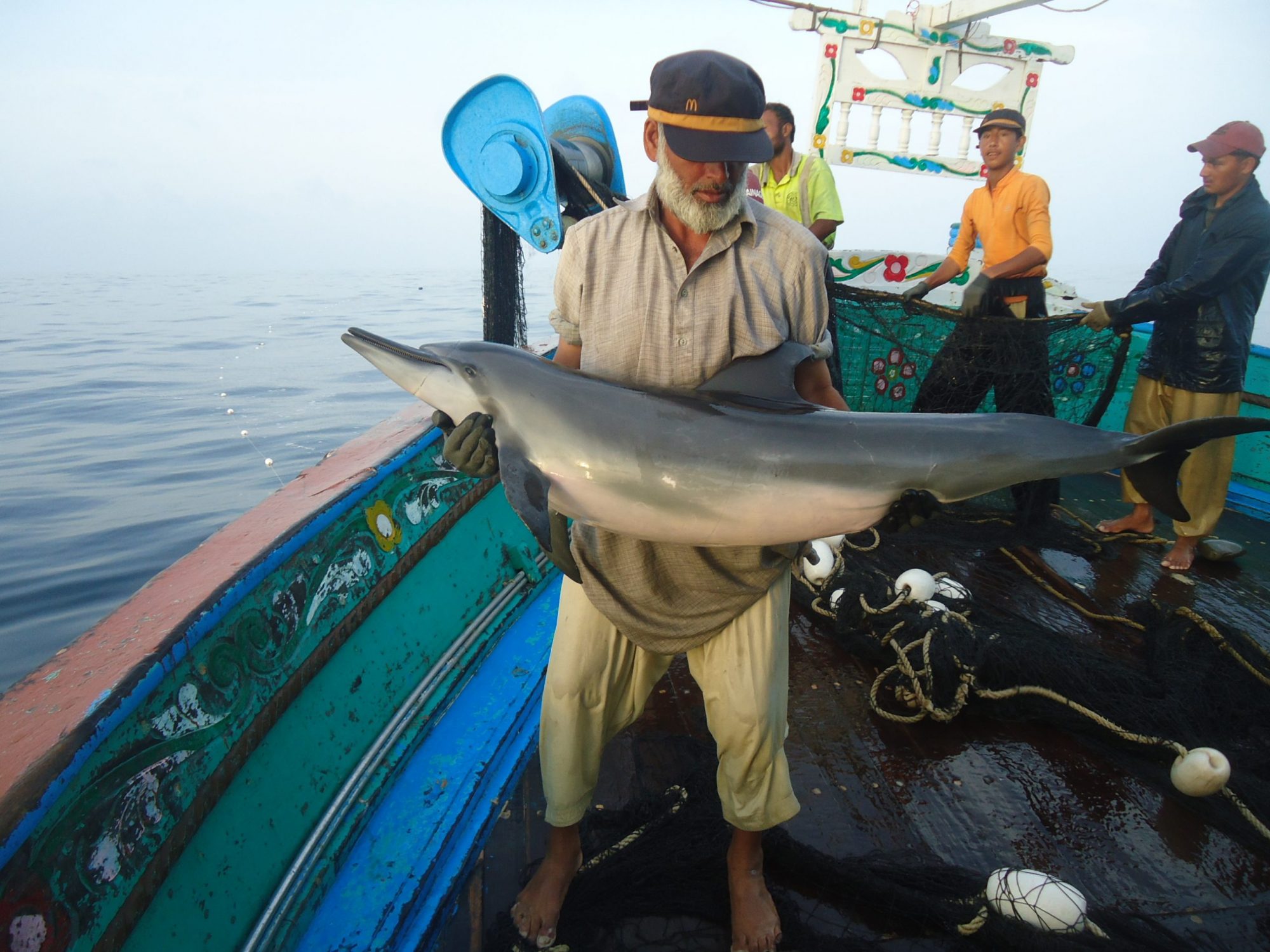 Addressing and mitigating marine megafauna bycatch • Marine ...